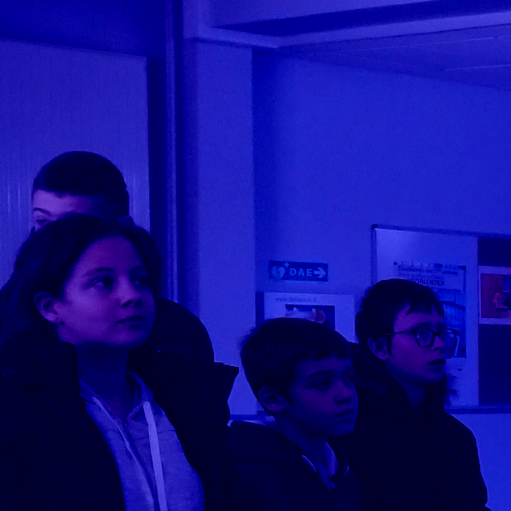 Collège Philibert Lautissier - Lignières - Une sensibilisation à la ...